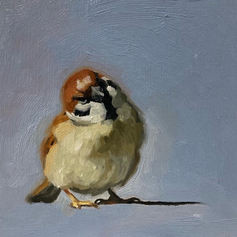 Painting Birds in Oils | Farnham Maltings