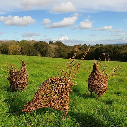 Weave a Willow Chicken | Farnham Maltings