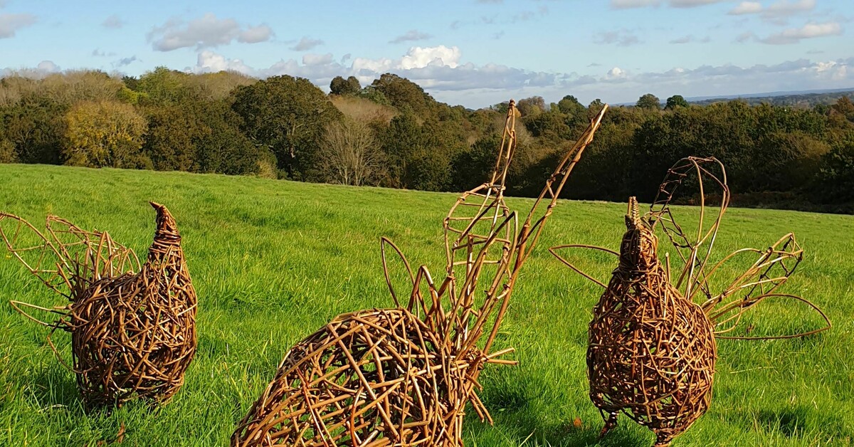 Weave a Willow Chicken | Farnham Maltings